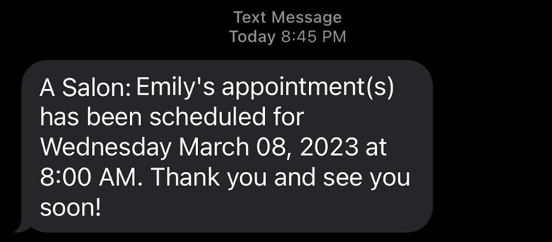 Appointment Itinerary Text
